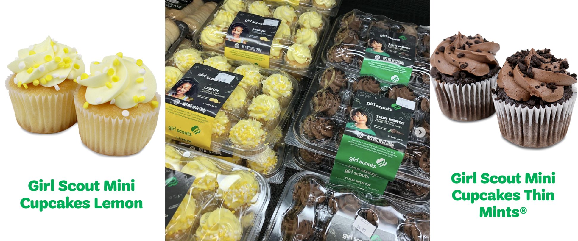 Girl Scout Lemon and Thin Mint Cupcakes Available Now at Select Stores – Cooking Panda