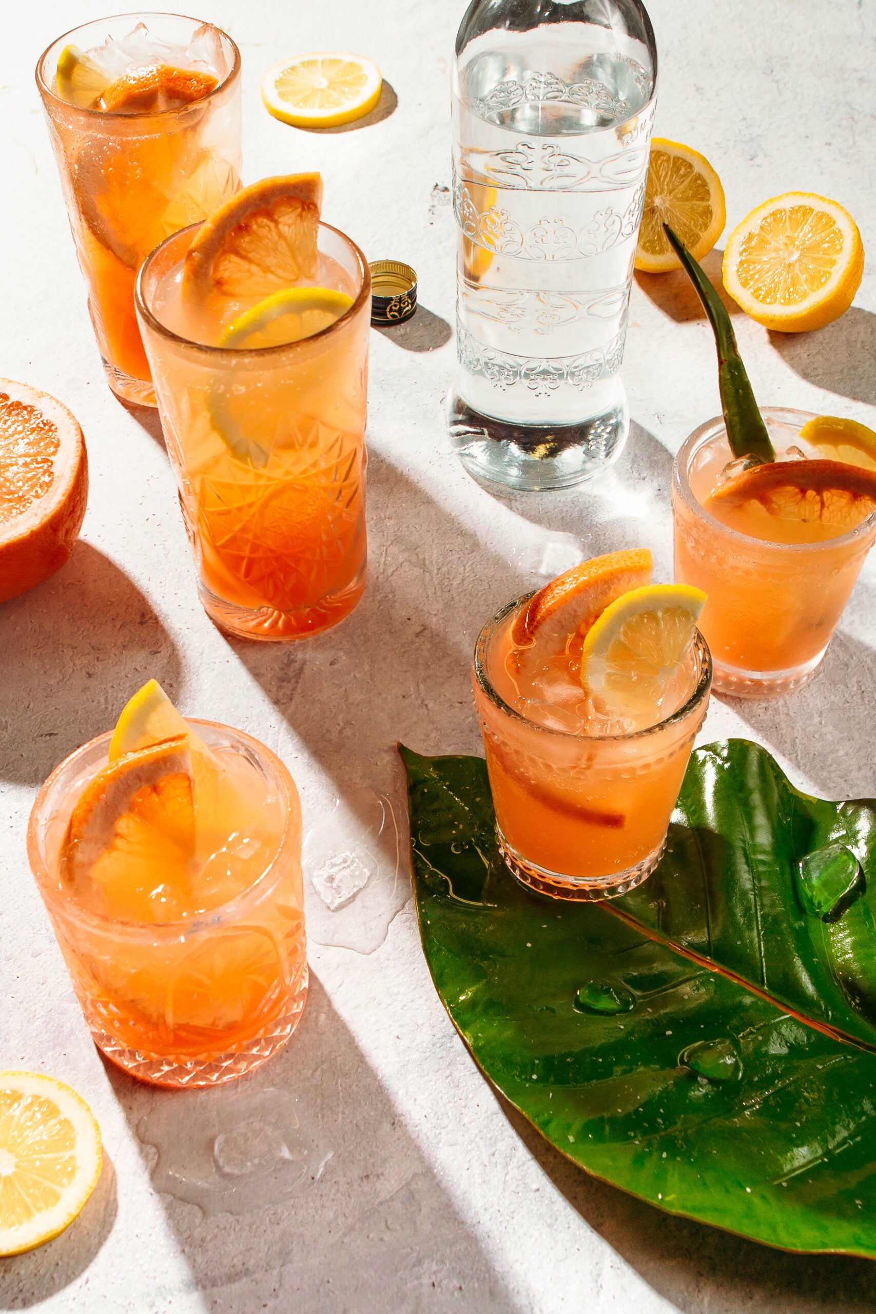Grapefruit & Gin Fizz – Cooking Panda