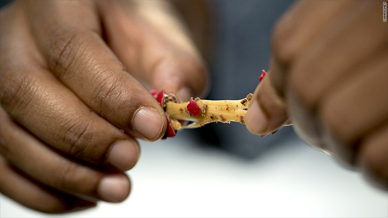 The New M&M's Caramel Flavor Is Coming! – Cooking Panda